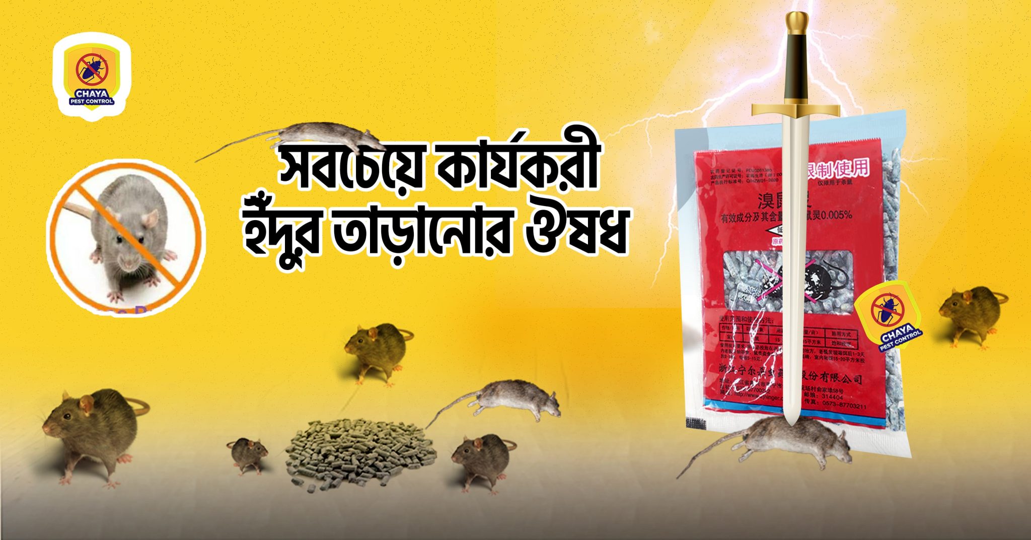 ইঁদুর মারার উপায় কি? সবচেয়ে কার্যকরী ইঁদুর তাড়ানোর ঔষধ সম্পর্কে ...